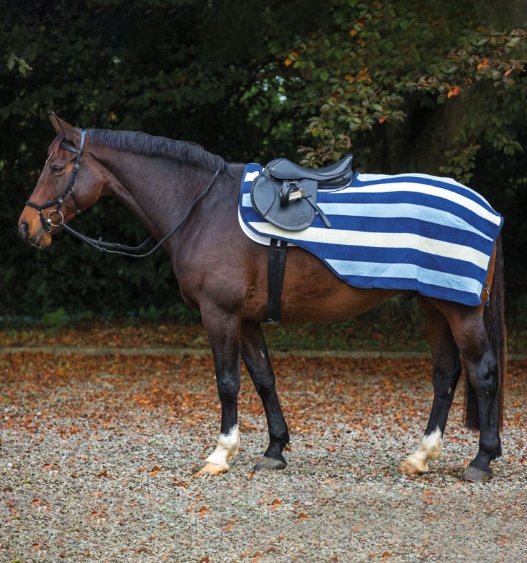 Horseware Rambo Competition Sheet – The Boot & Bridle